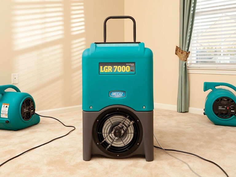 DG CAT - DG CAT provides professional mold inspection and mold ...