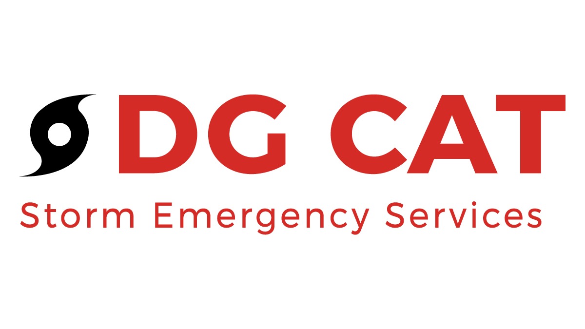 DG CAT - DG CAT provides professional mold inspection and mold ...